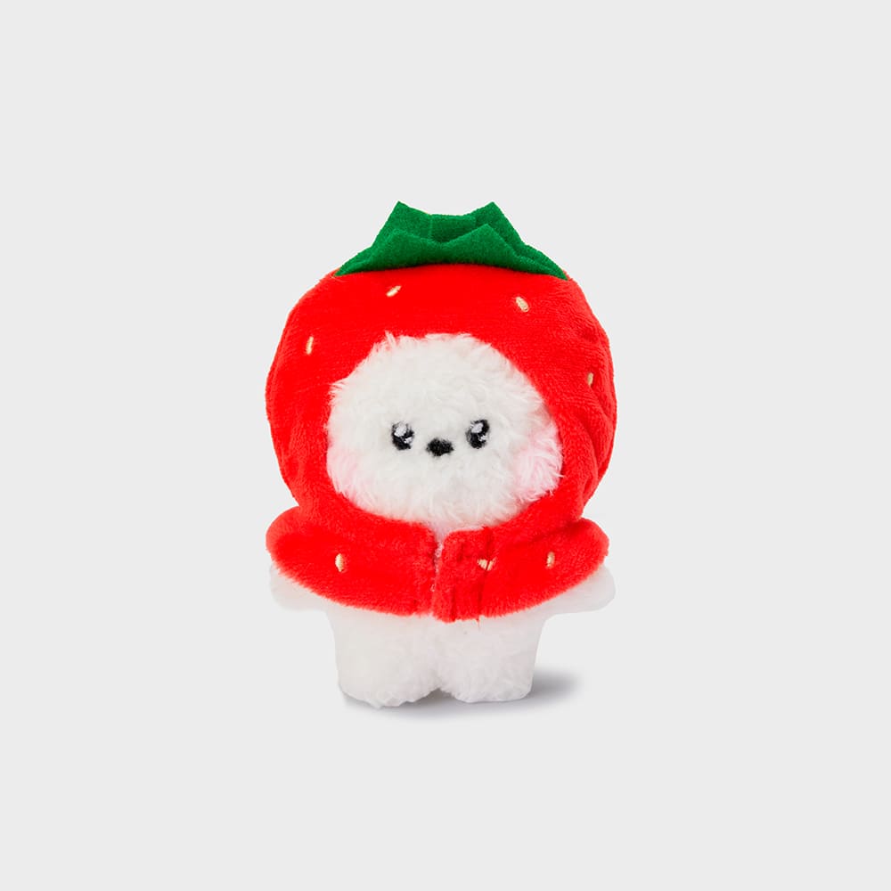 BT21 RJ mini minini Fruits Doll – LINE FRIENDS_US